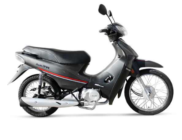 ZANELLA ZB 110 AUTOMATICA GRIS - All Road
